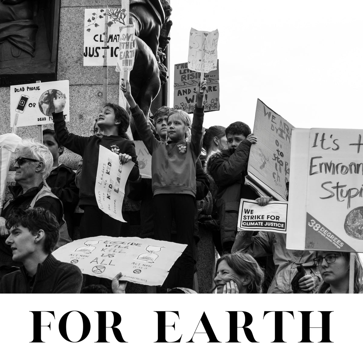 Stand for Earth – Daniel K Swan | Fine Art