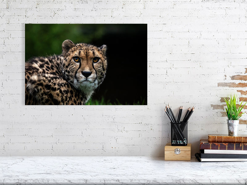 Vision – Daniel K Swan | Fine Art